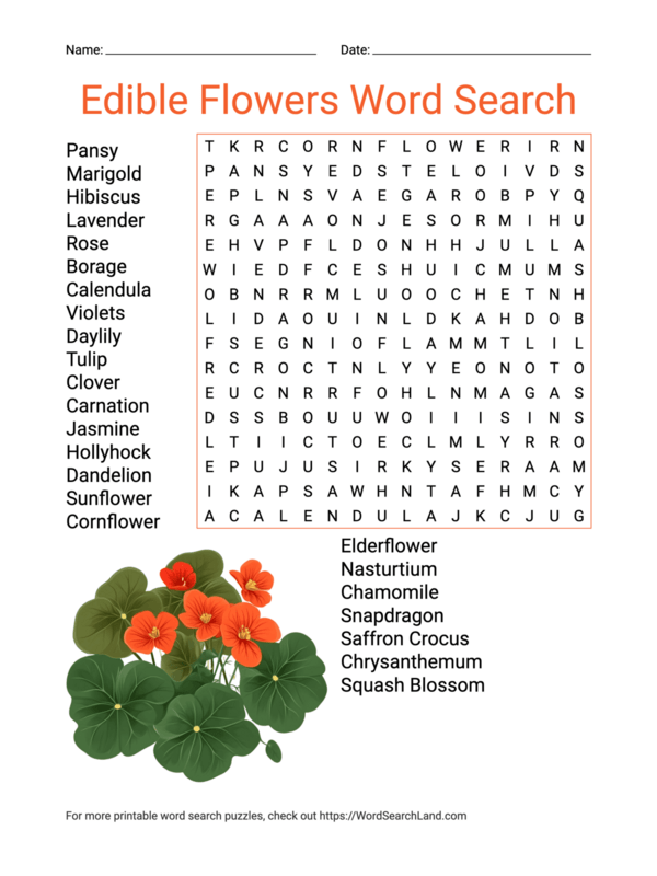 Printable Flower Word Search Puzzles (PDF & PNG) - Word Search Land