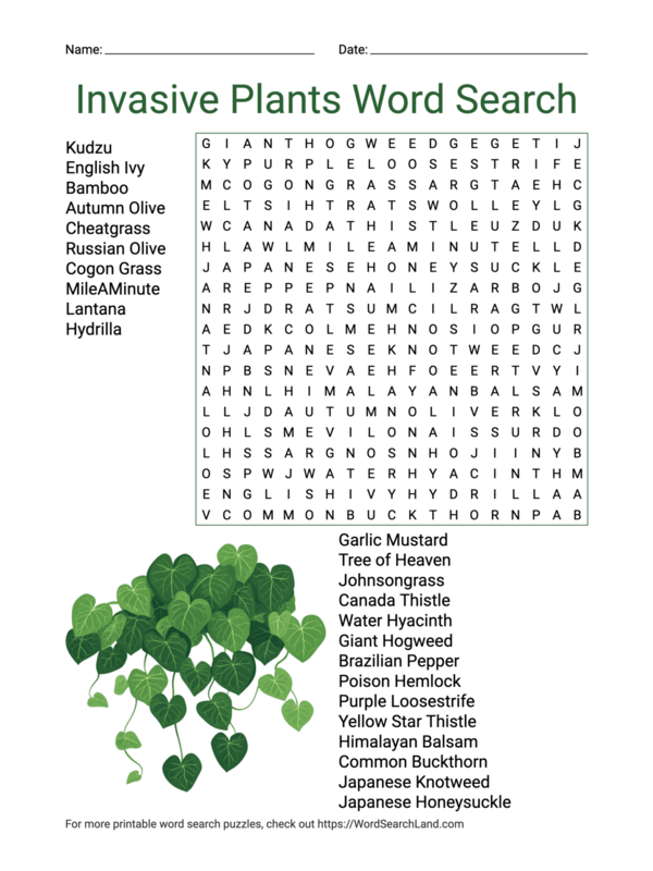 Printable Plant Word Search Puzzles (PDF & PNG) - Word Search Land