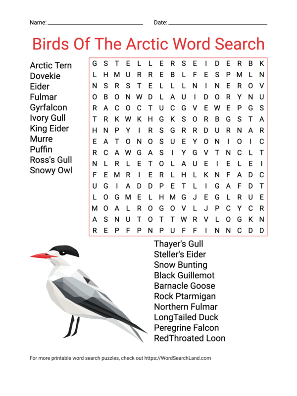 Printable Bird word Search Puzzles (PDF & PNG) - Word Search Land