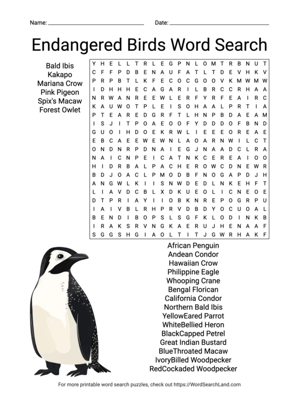 Printable Bird word Search Puzzles (PDF & PNG) - Word Search Land