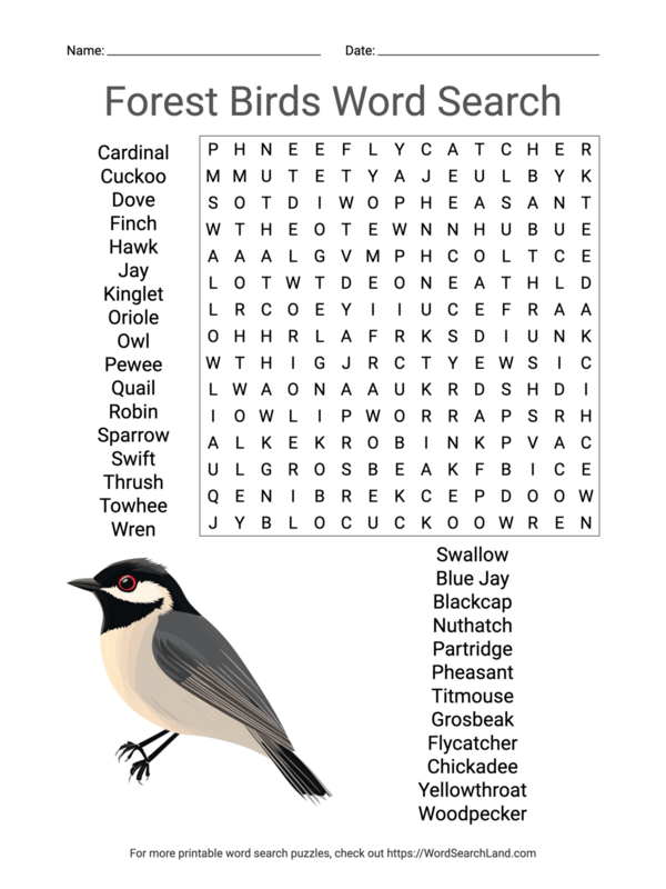 Printable Bird word Search Puzzles (PDF & PNG) - Word Search Land