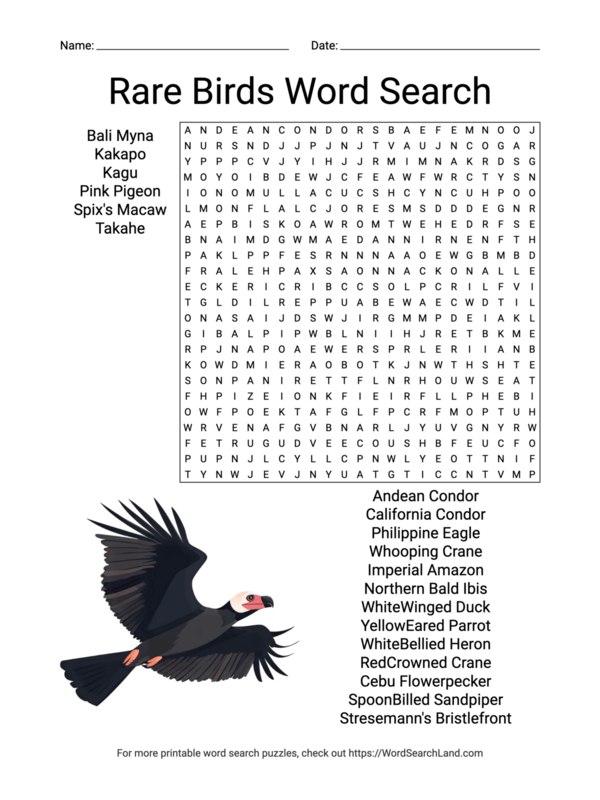 Printable Bird word Search Puzzles (PDF & PNG) - Word Search Land