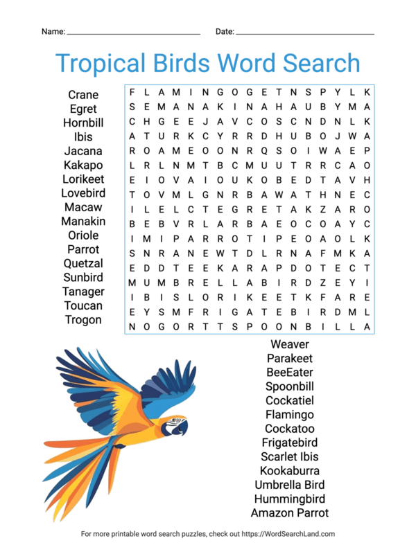 Printable Bird word Search Puzzles (PDF & PNG) - Word Search Land