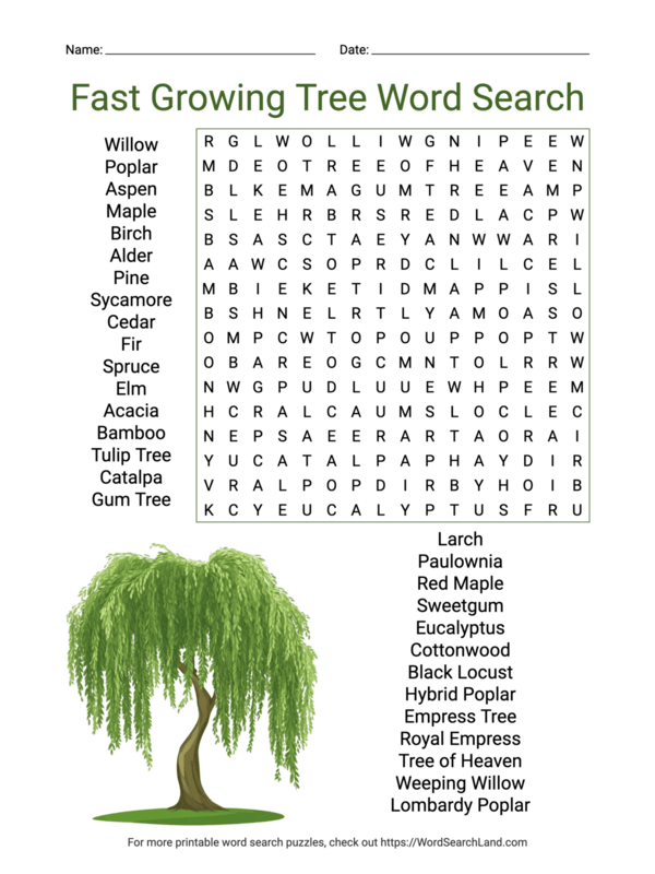 Printable Tree Word Search Puzzles (PDF & PNG) - Word Search Land